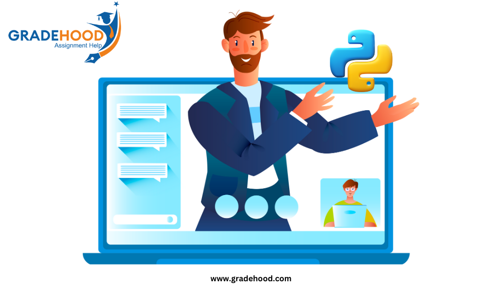 How Python Assignment Help Writing Services Become Student Allies?